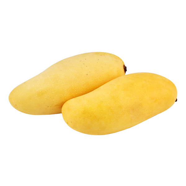 Rainbow Mango (Gold) – Qra @ Arcoris