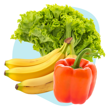 Best Sellers – Qra @ Arcoris